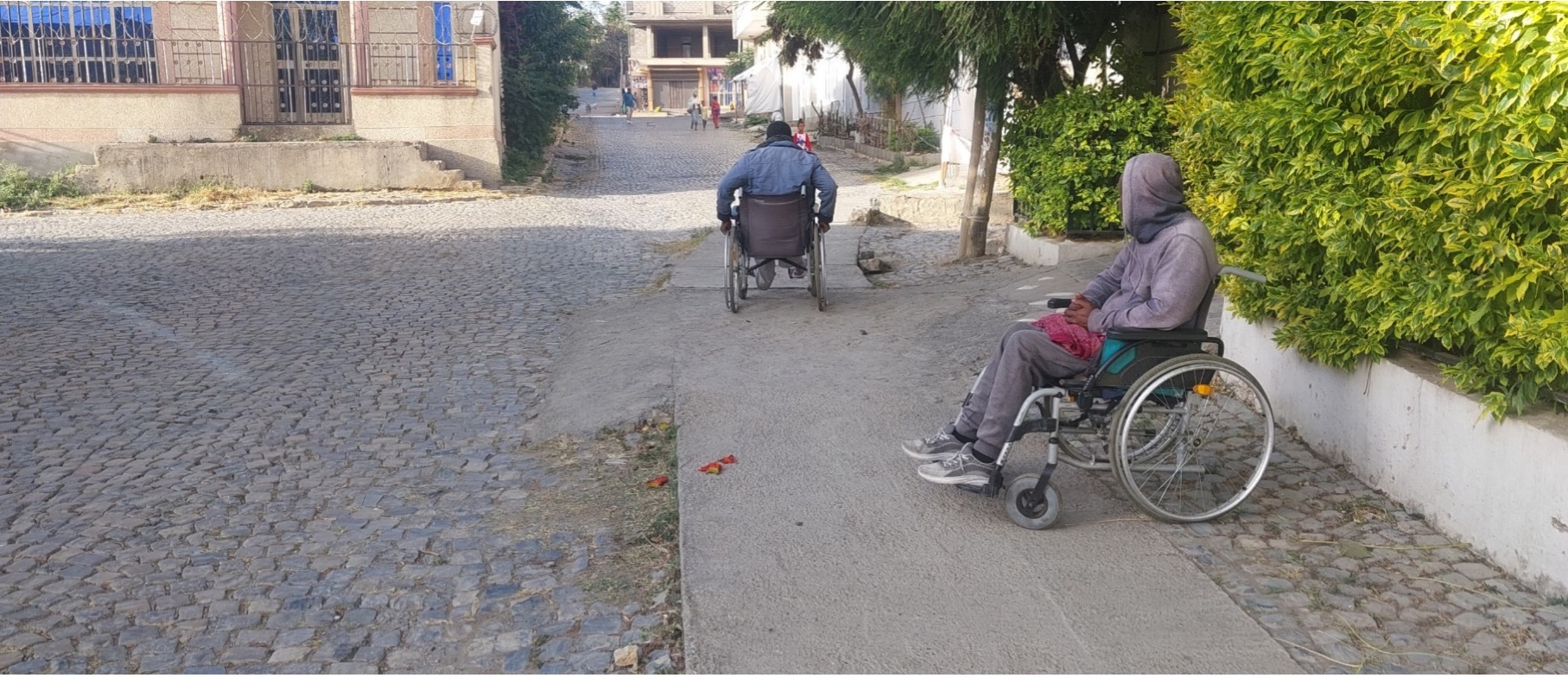 Safety and Mobility Challenges of People with Disability in Mekelle ...